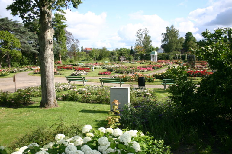 Rosariums - De Nederlandse Rozenvereniging